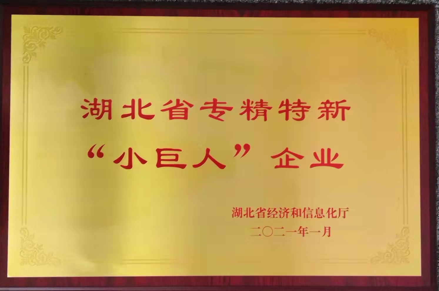 宏韧医药——生物分析、药代动力学、药理药效、化学药物生物分析、生物制品生物分析、数据管理与统计分析 生物分析和药代动力学特色cro 6622