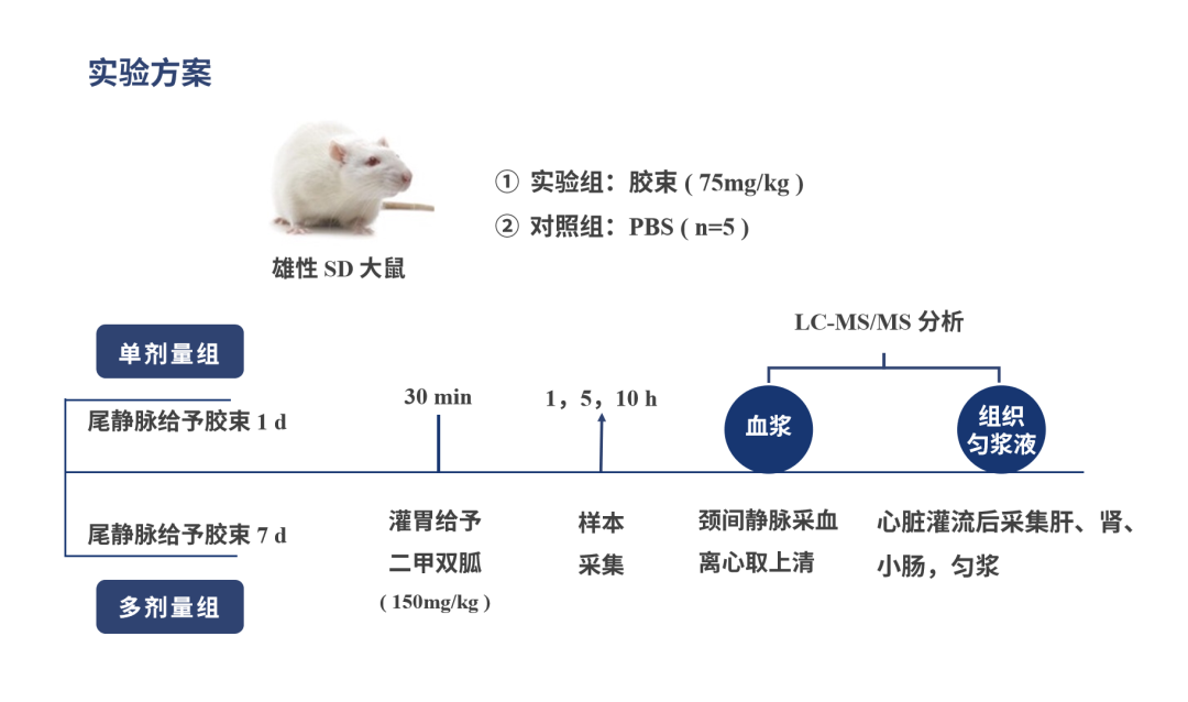 新药研发中新型递送系统药物 DMPK 研究及其案例分享 | 第十四届中国药理学会药物和化学异物代谢学术会议宏韧报告 - 宏韧医药——生物分析、药代动力学、药理药效、化学药物生物分析、生物制品 ...